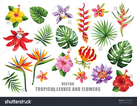 Jungle Flowers