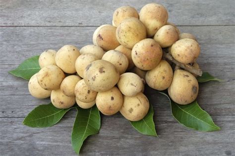 Lanzones Season In The Philippines At Howard Vasquez Blog