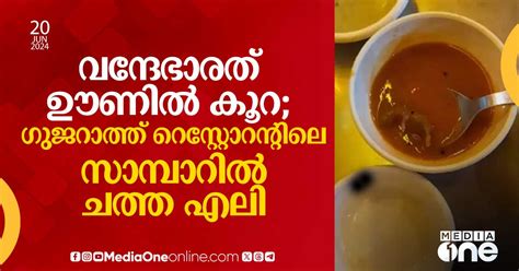 വന്ദേഭാരത് ഊണില്‍ കൂറ ഗുജറാത്ത് റെസ്‌റ്റോറന്റിലെ സാമ്പാറില്‍ ചത്ത എലി