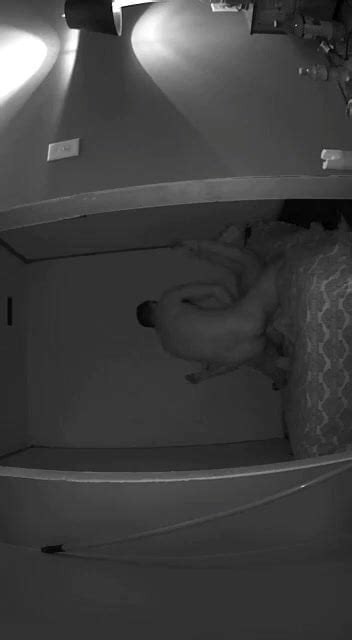 Secret Sex Tape Blowjob Blowjob Porn Xhamster