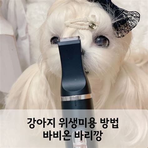 강아지 위생미용 주기 바비온 바리깡으로 발바닥 셀프미용 네이버 블로그