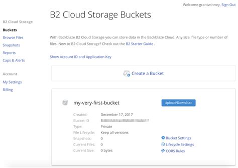 Access Buckets And Files On Backblaze With The B2 Cloud Storage Api