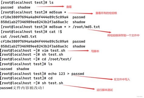 经典常用的脚本讲解csdn 脚本 Csdn博客