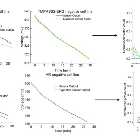 Pdf Handheld Isfet Lab On Chip Detection Of Tmprss2 Erg And Ar Mrna For Prostate Cancer