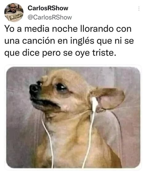 Soy Todo Un Pendejo Rmemexico