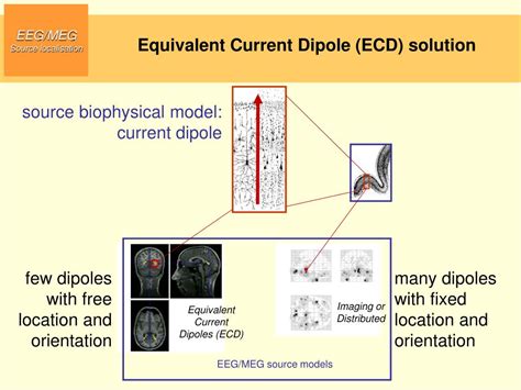 Ppt Eeg Meg Source Localisation Powerpoint Presentation Free