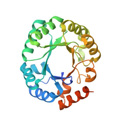 Rcsb Pdb 3sw6 Crystal Structure Of Methanothermobacter Thermautotrophicus Orotidine 5