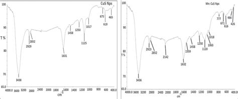 The Ftir Spectra Of Pure Cus And Mn²⁺ Doped Cus Nanoparticles Download Scientific Diagram