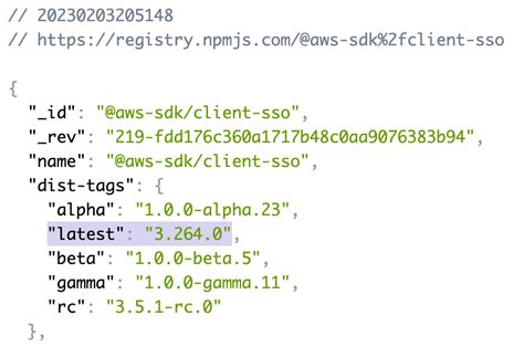 aws sdk client sso 3 264 0 does not exist · issue 4399 · aws aws sdk