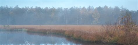 how to create realistic fog in after effects glj media group daily blog
