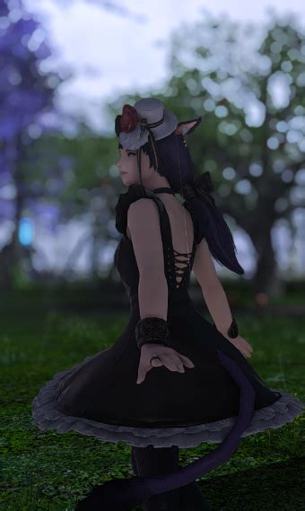 Valentione Eorzea Collection
