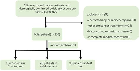Comparative Analysis Of Automatic Segmentation Of Esophageal Cancer Using 3d Res Unet On