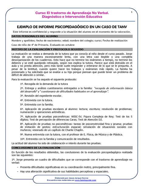 08 Ejemplo De Informe Psicopedagogico De Tanv Pdf Salón De Clases