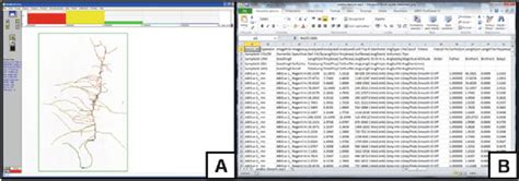 5 Data Analysis Of Root Images Using The Winrhizo System Image Area Of
