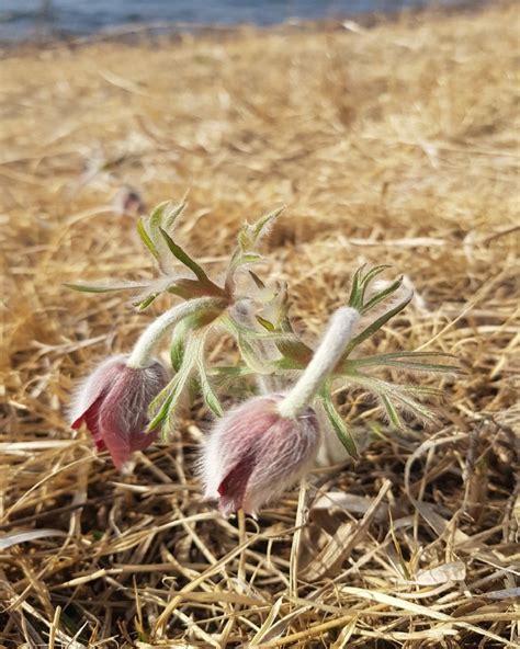 신조어모음 디지털 Mz 은어 밈 유행어 줄임말 네이버 블로그
