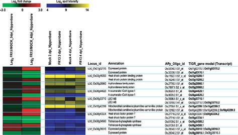 Identification Of Alternatively Spliced Transcripts That Show Opposite Download Scientific