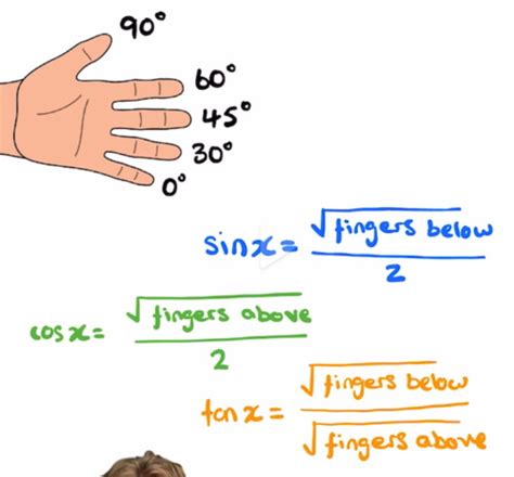 Trig Chapter Flashcards Quizlet