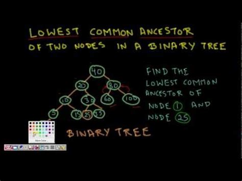 Programming Interview Lowest Common Ancestor Binary Tree YouTube