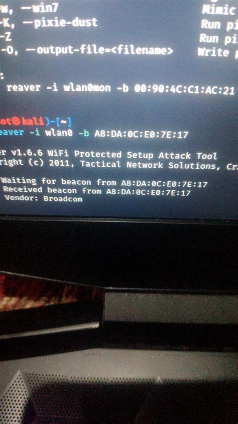 my kali linux dual boot machine or live usb freezes after i run any