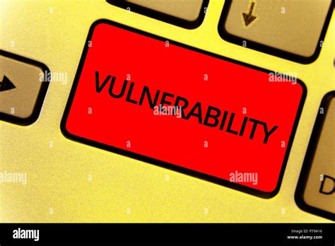 Word Writing Text Vulnerability Business Concept For Information Susceptibility Systems Bug