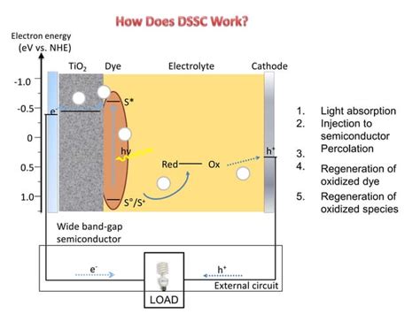 Dssc Dye Sensitized Solar Cell Pptx Science