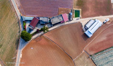 무안 양파 그림