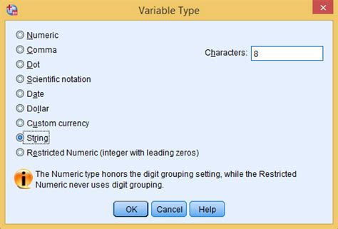 Type Variables On The Spss Variable View Tab Dummies