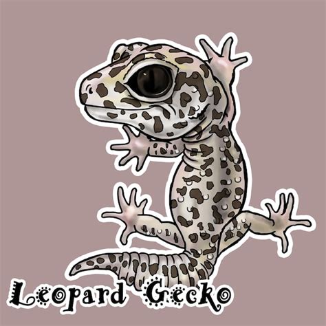 Premium Psd Leopard Gecko