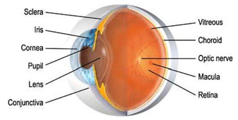 Qt Qml编程学习之心得：颜色编码方案rgb Yuv Hsi等（八）