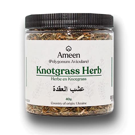Knotgrass Herb Ameen