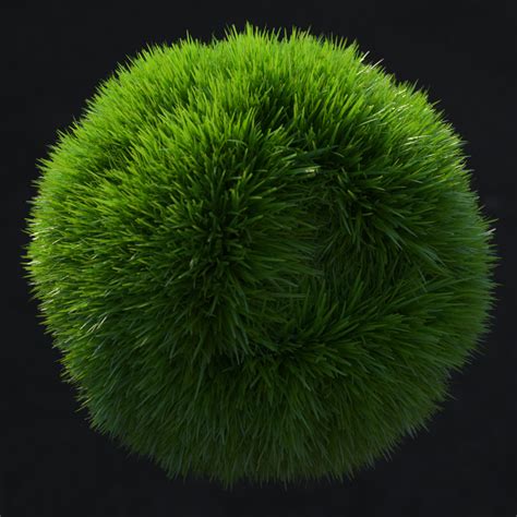 Host Picorg Free Image Picture Photo Hosting