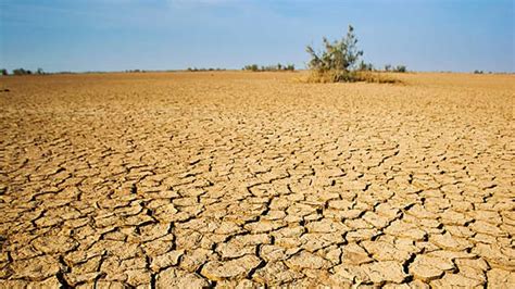 Non Conduct Of Agricultural Activity Because Of Insufficient Rain Exemption On Sale Of