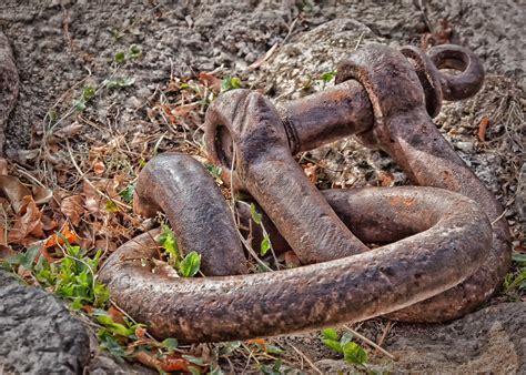 Iron Ring Use At Kaitlyn Corkill Blog