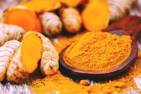 andhra pradesh government to increase turmeric output with higher