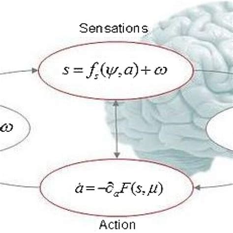 Brain Building Internal Representation By Interacting With The Hidden Download Scientific
