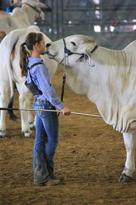 Hucow Lifestyle Lactation Porn And Other Livestock Play Porn Also Welcome