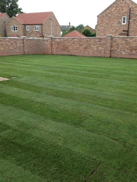 Mark Nettleton Mark Nettleton Home And Garden Services