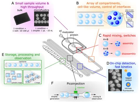 Schematic Illustration Of Some Key Features Of Microfluidic Systems Download Scientific Diagram