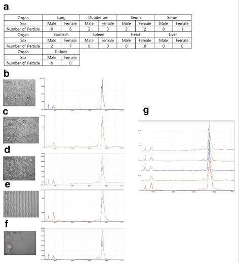 Toxicity Study And Quantitative Evaluation Of Polyethylene