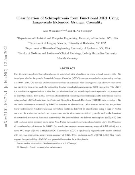 Pdf Classification Of Schizophrenia From Functional Mri Using Large Scale Extended Granger