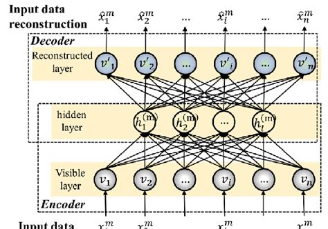 Structure Of An Autoencoder Ae M Download Scientific Diagram