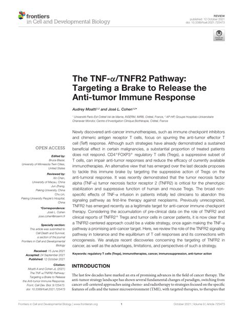 Pdf The Tnf α Tnfr2 Pathway Targeting A Brake To Release The Anti