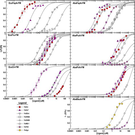 Ferric Catecholate Receptor Binding Titrations We Determined Binding