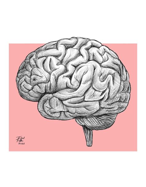 Brain Sketch