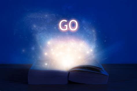 best golang books for software developers