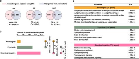 Prioritized Genes Associated With Brain Disorders And Download