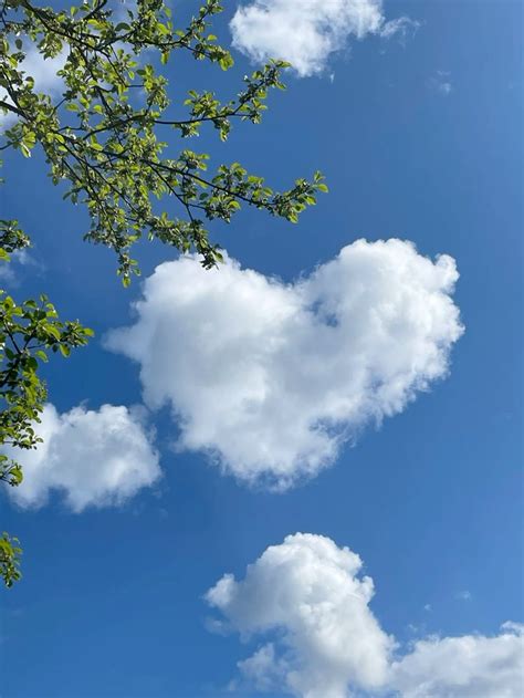 Cloudy Sky And Green Leaves Wall Art Profile Picture Clouds Sky