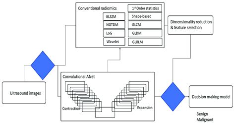 The Scheme Of The Proposed Multiple Radiomic Features Generated From