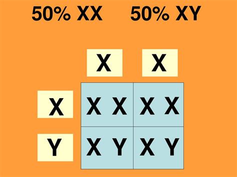 PPT SEX LINKED TRAITS PowerPoint Presentation Free Download ID 6783448 PPT SEX LINKED TRAITS PowerPoint Presentation Free Download ID 6783448