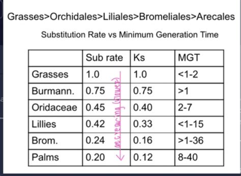 Molecular Evolution Gene Families Flashcards Quizlet